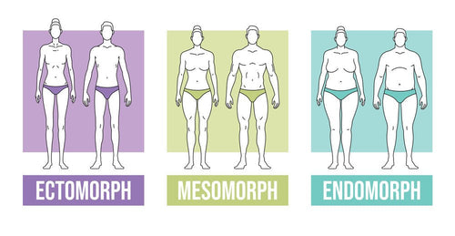 3 Different Body Types Explained: Diet, Workouts and Tips